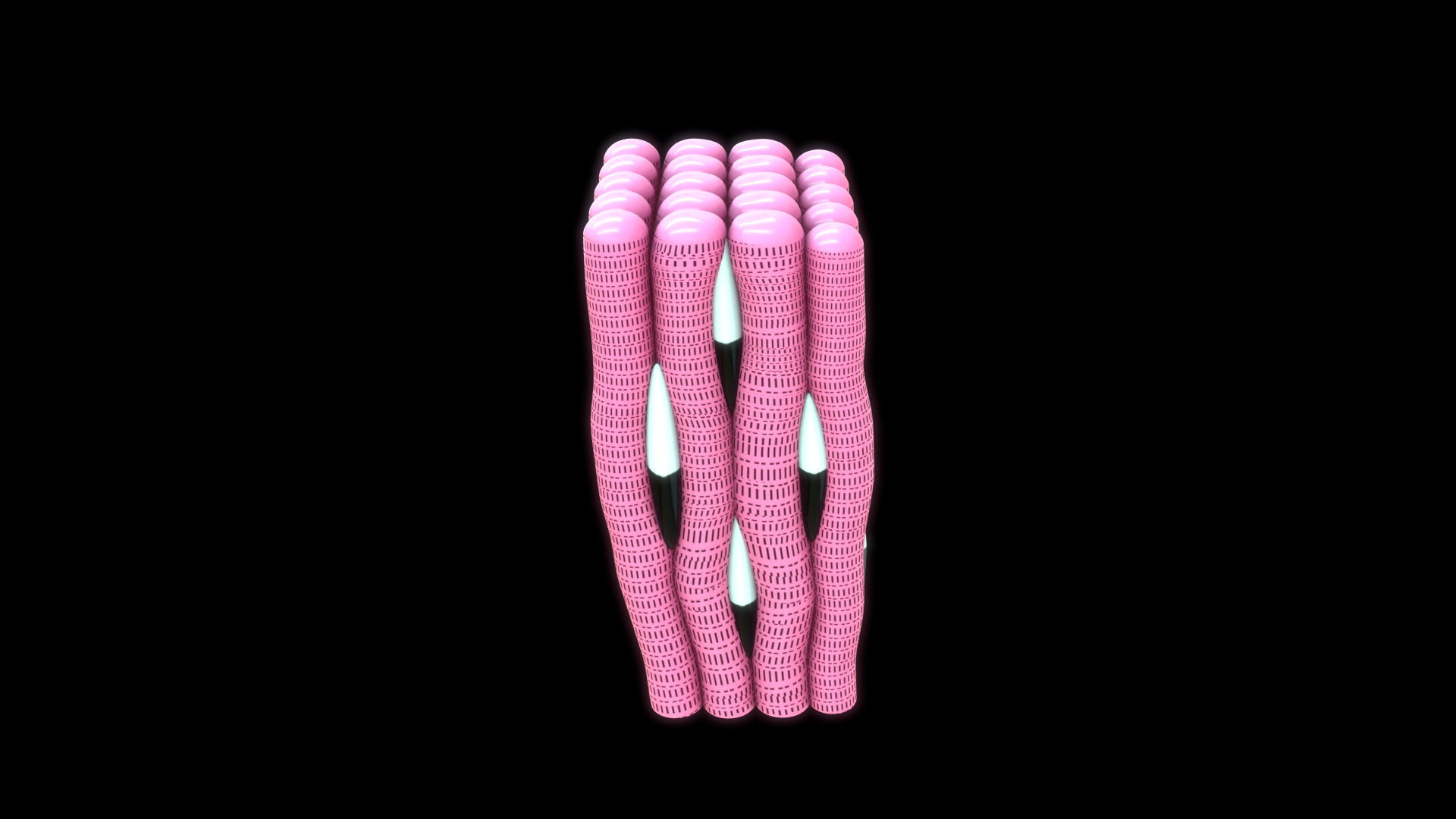 Striped Muscles Skeletal Muscle Tissue 3D - TurboSquid 2187672