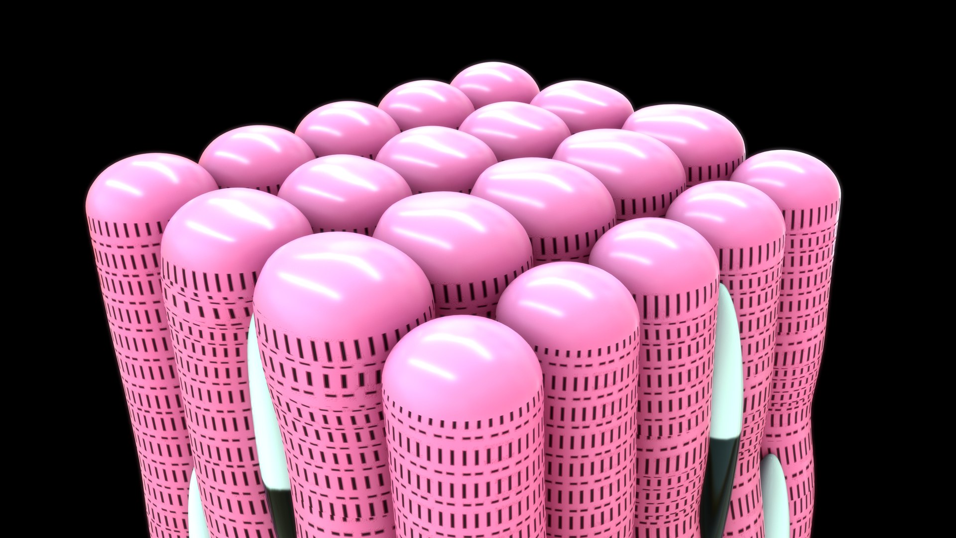Striped Muscles Skeletal Muscle Tissue 3D - TurboSquid 2187672