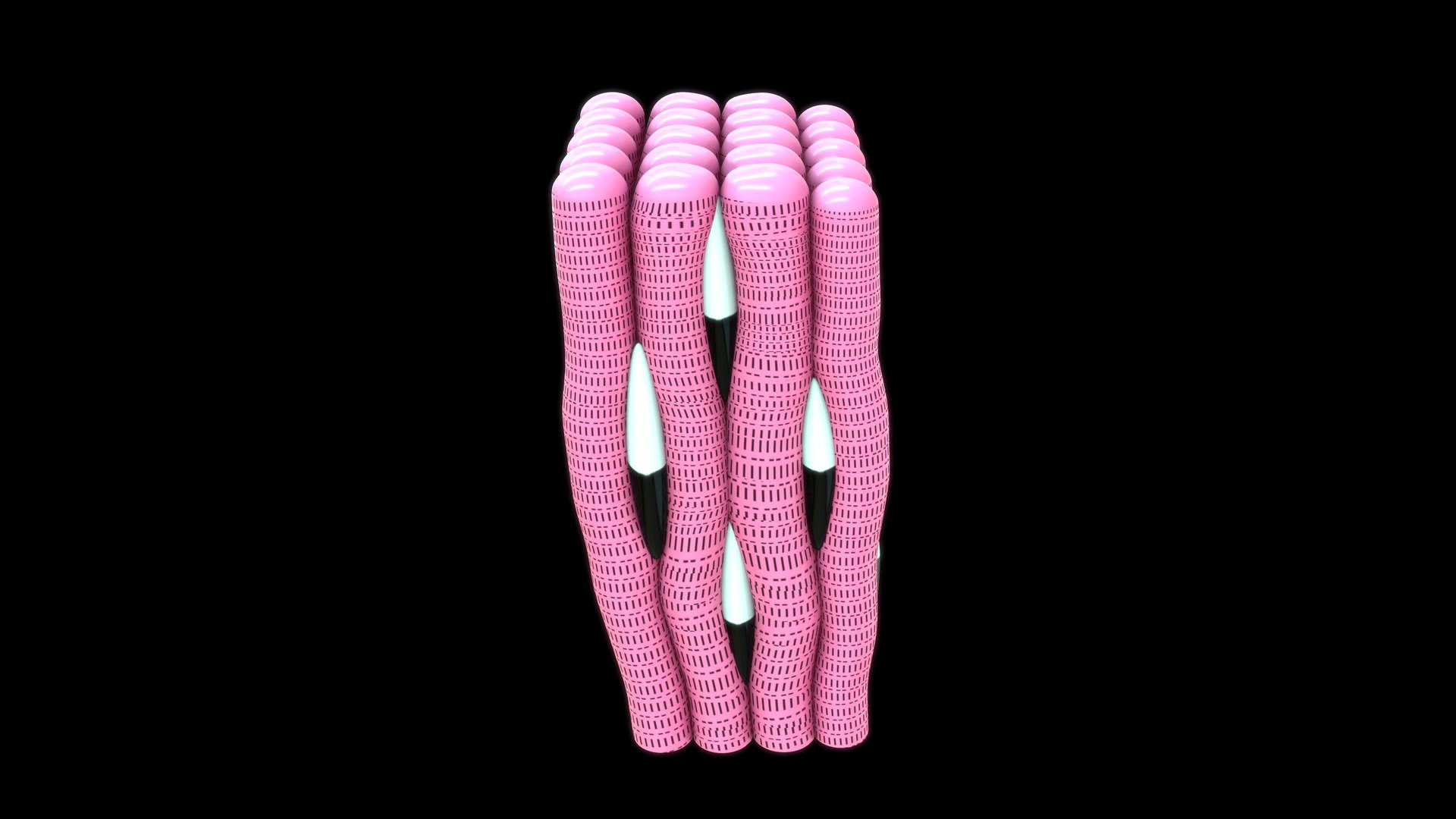Striped Muscles Skeletal Muscle Tissue 3D - TurboSquid 2187672