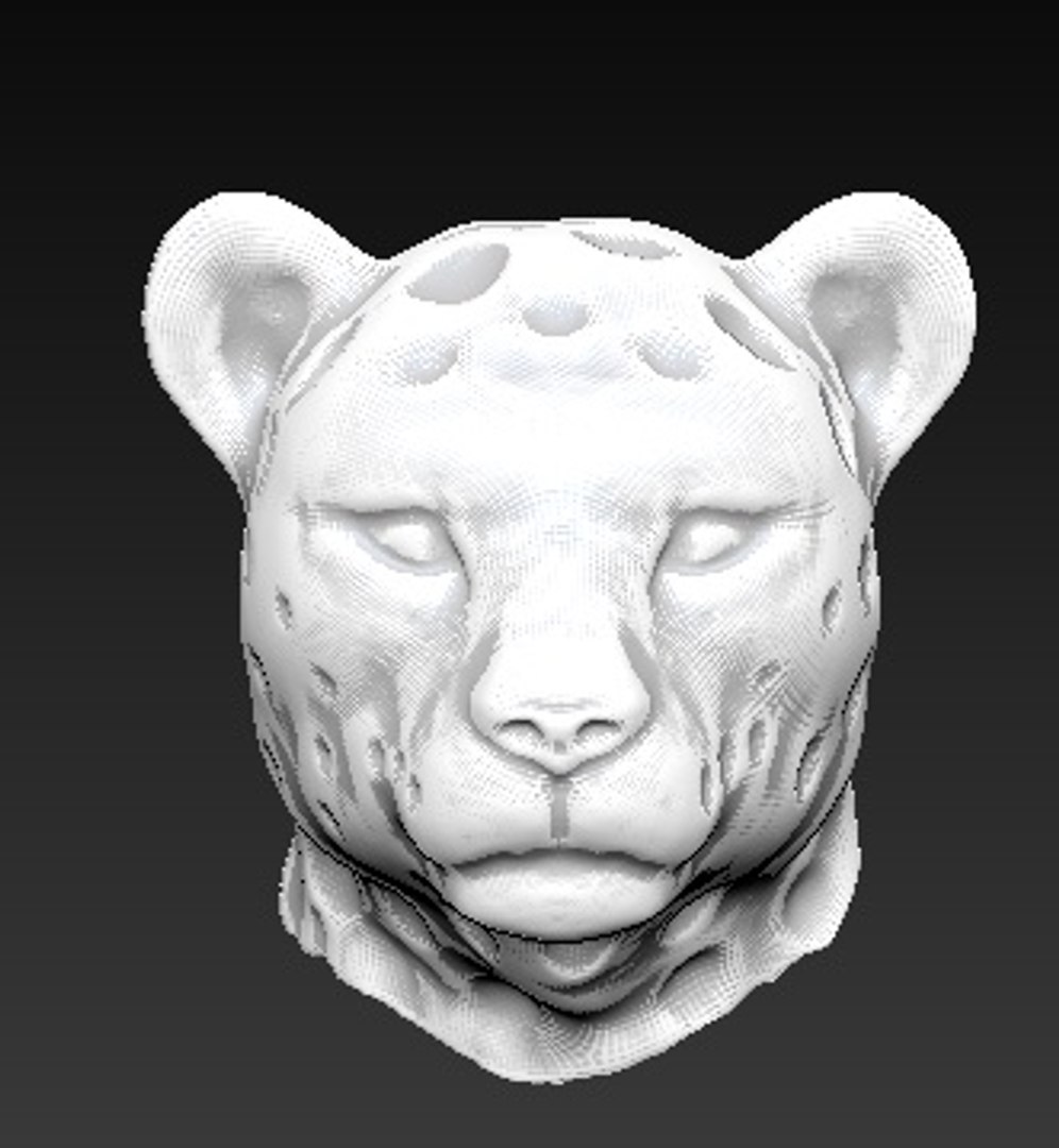 Obj Leopard Head