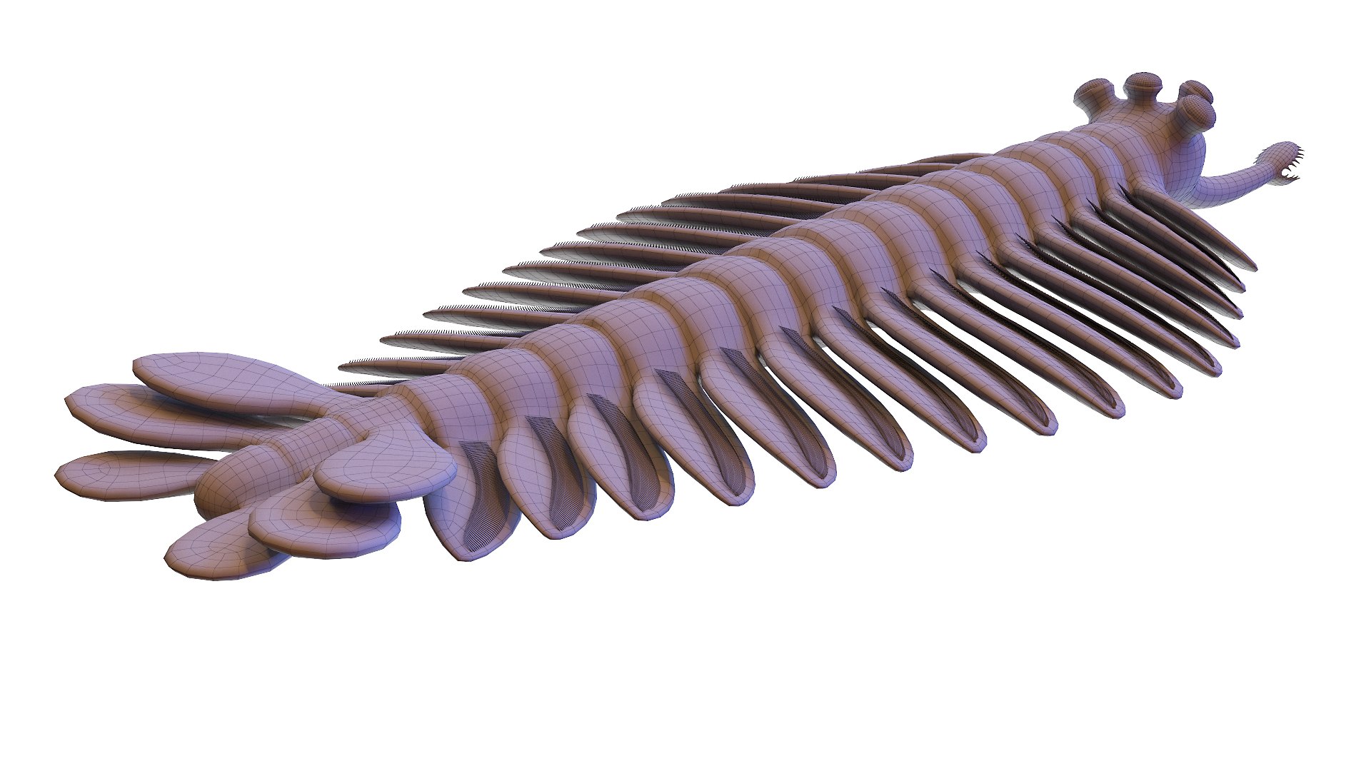 3D Model Opabinia Static - TurboSquid 1783954