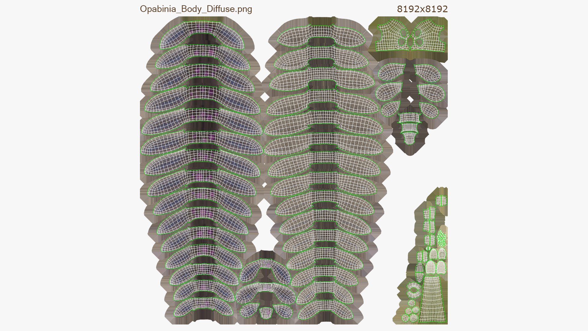 3D Model Opabinia Static - TurboSquid 1783954
