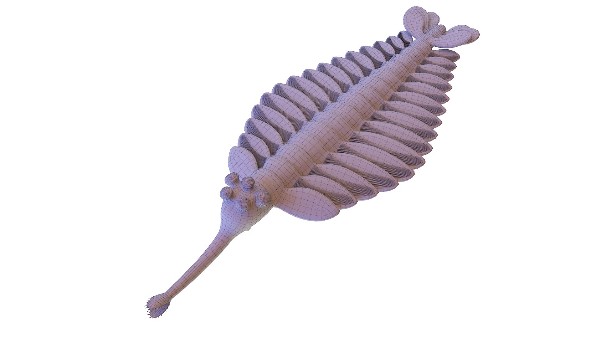 3D Model Opabinia Static - TurboSquid 1783954