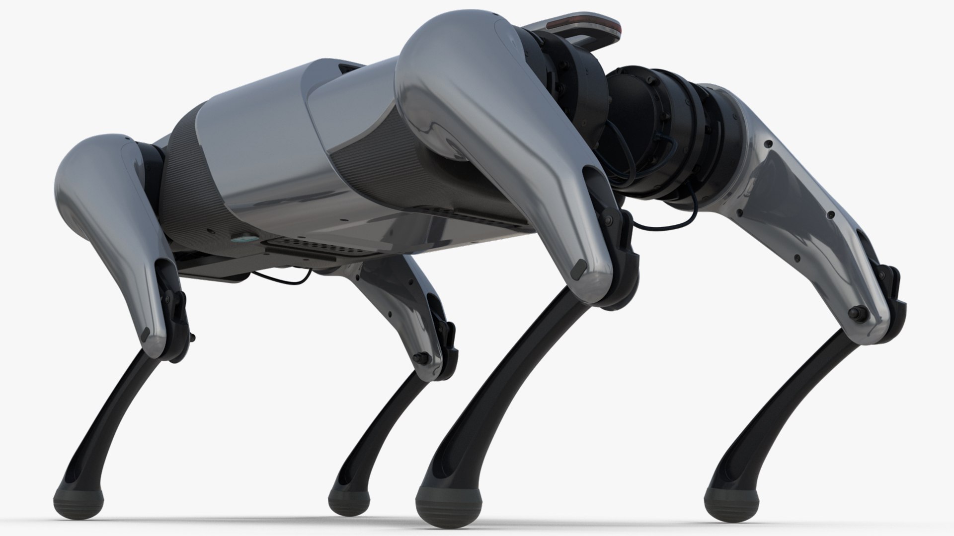 CyberDog Gray Rigged 3D - TurboSquid 1919597