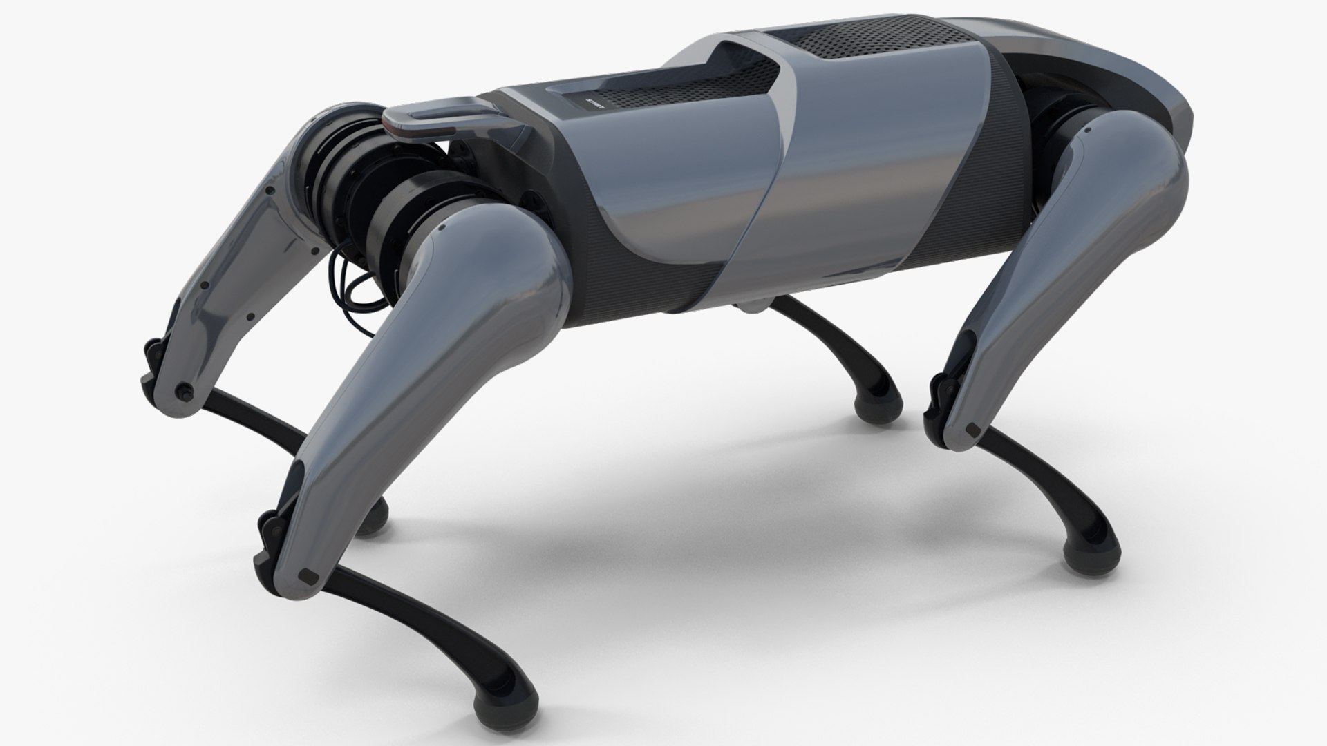 CyberDog Gray Rigged 3D - TurboSquid 1919597