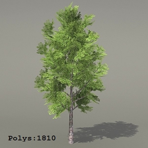 3d model tree