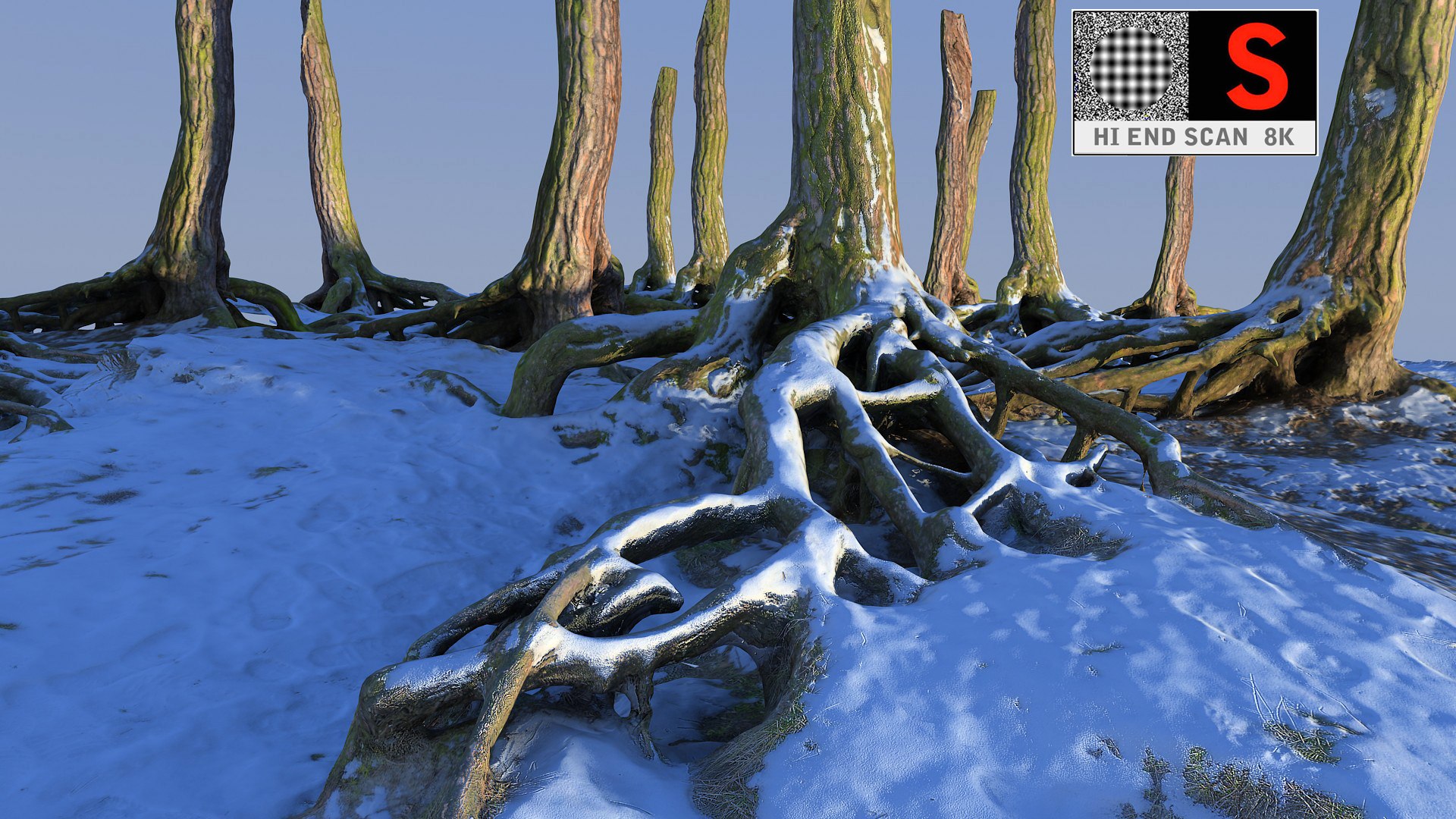 Forest Winter 3d Model