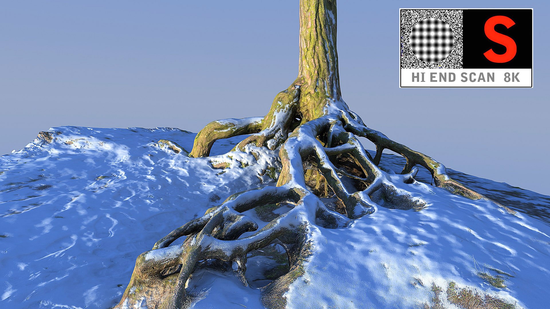 Forest Winter 3d Model