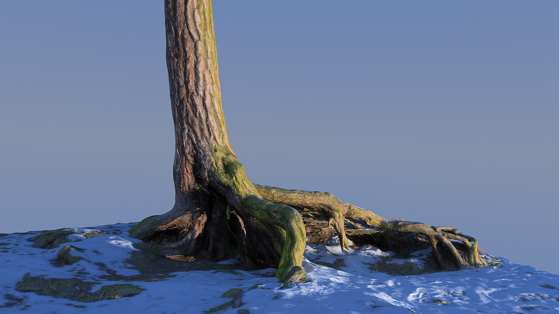 Forest Winter 3d Model