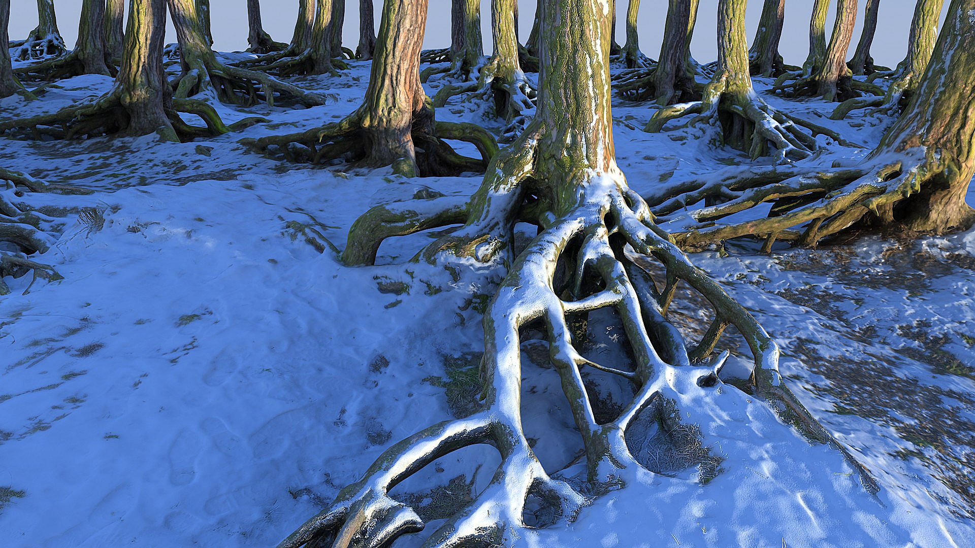 Forest Winter 3d Model