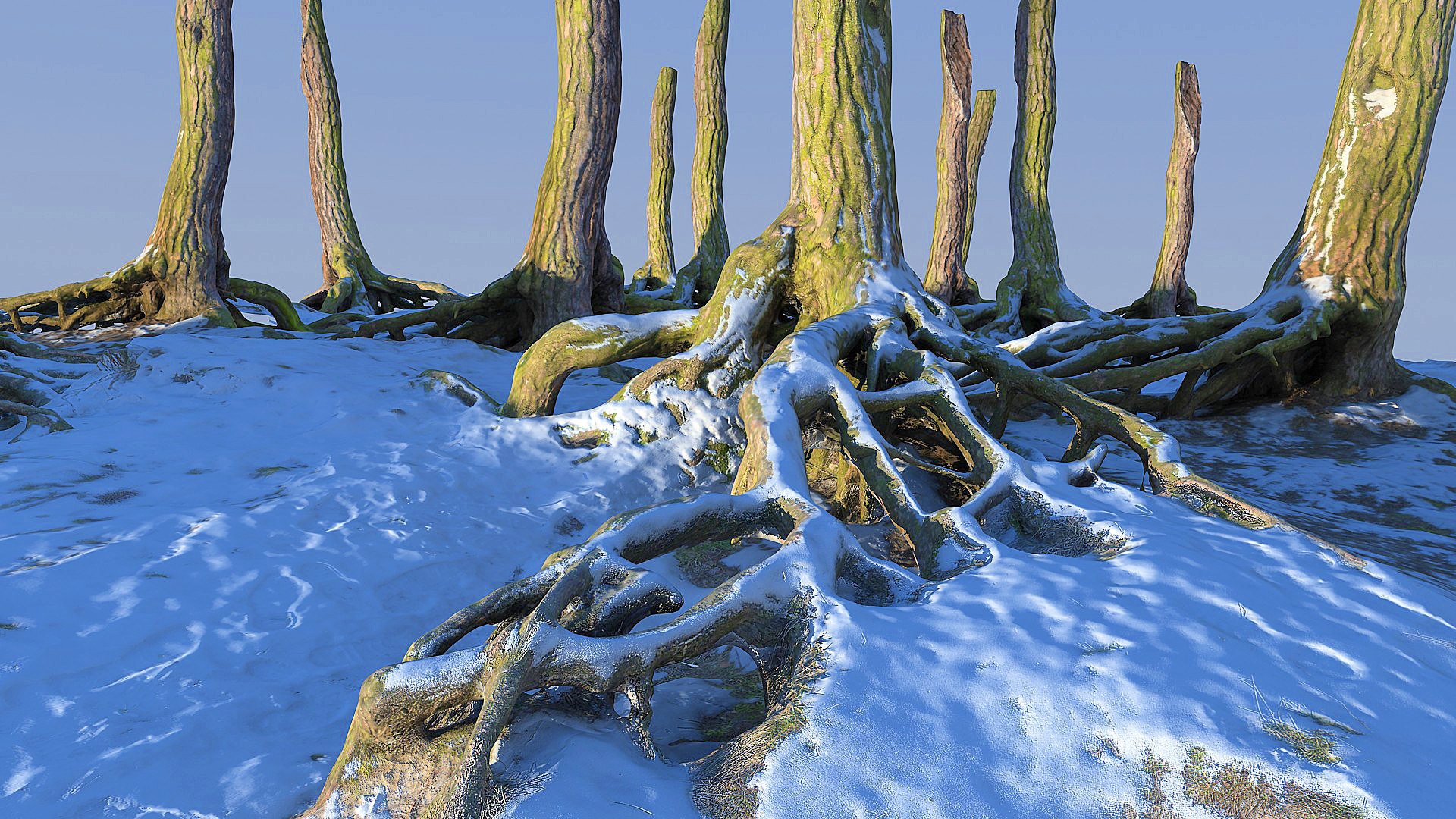 Forest Winter 3d Model