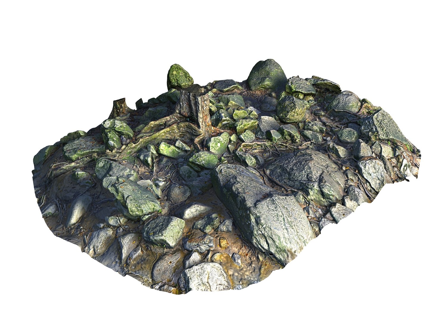 Jungle Rock Ground 16k 3D Model - TurboSquid 1276325