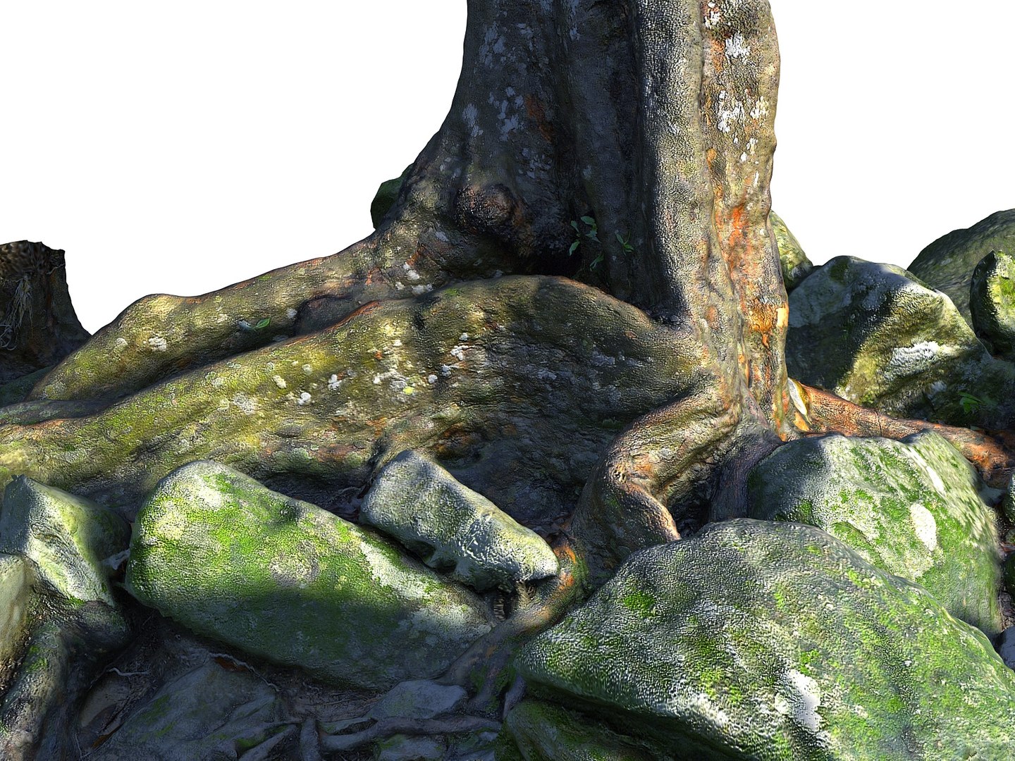 Jungle Rock Ground 16k 3D Model - TurboSquid 1276325
