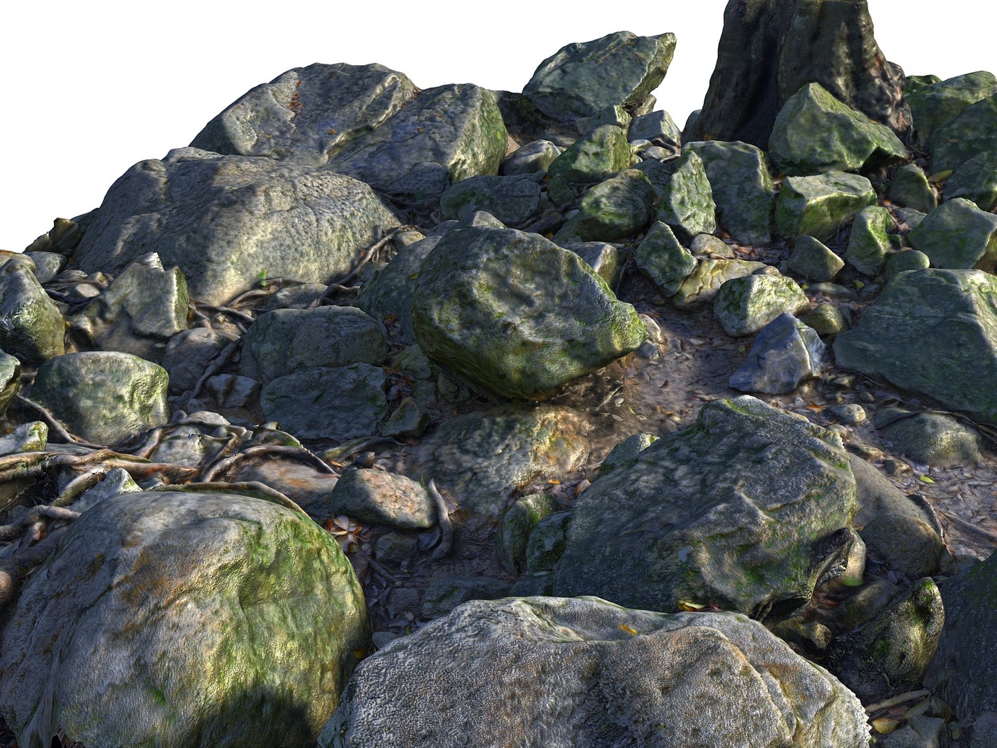 Jungle Rock Ground 16k 3D Model - TurboSquid 1276325