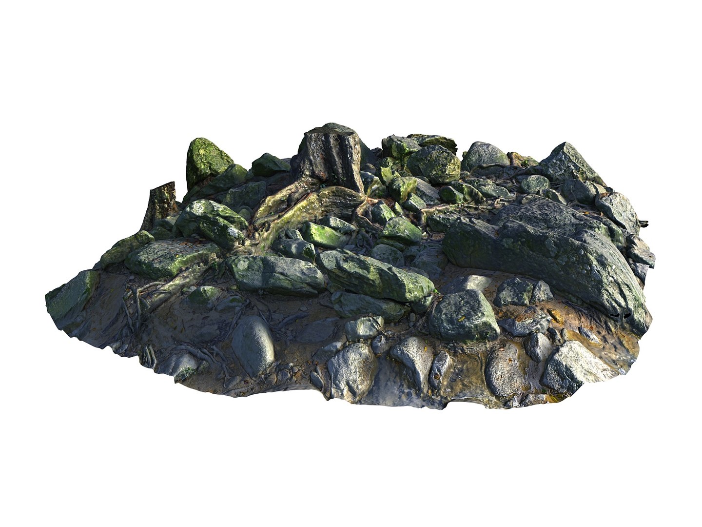 Jungle Rock Ground 16k 3D Model - TurboSquid 1276325
