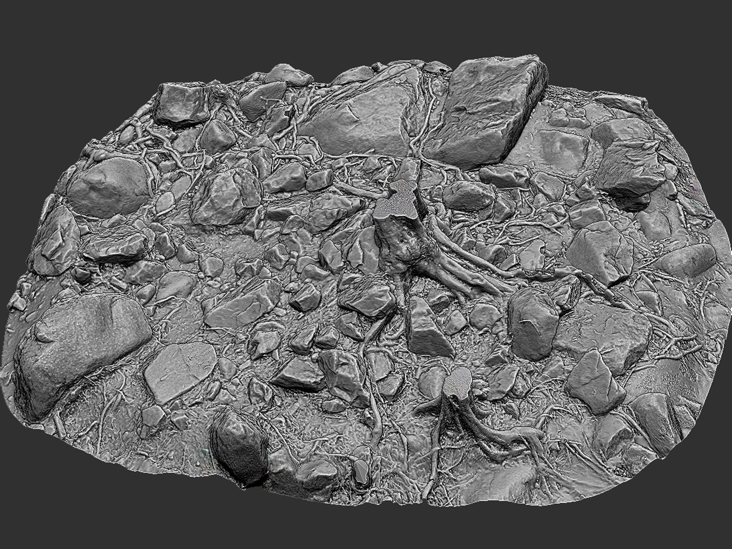 Jungle Rock Ground 16k 3D Model - TurboSquid 1276325