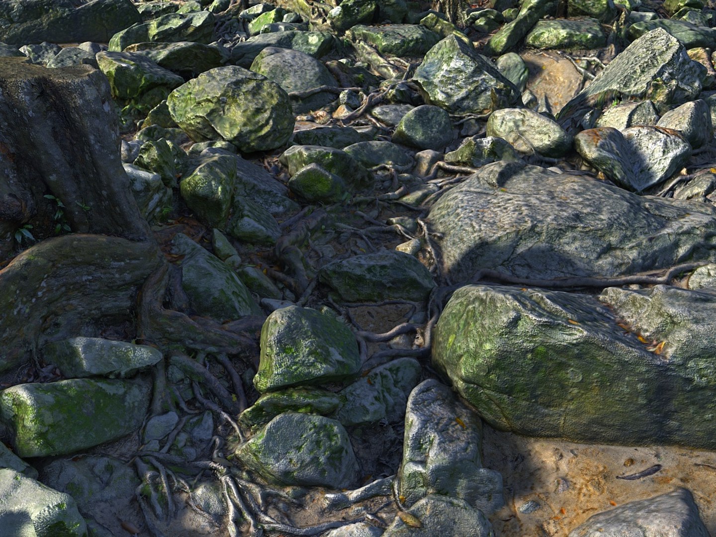 Jungle Rock Ground 16k 3D Model - TurboSquid 1276325