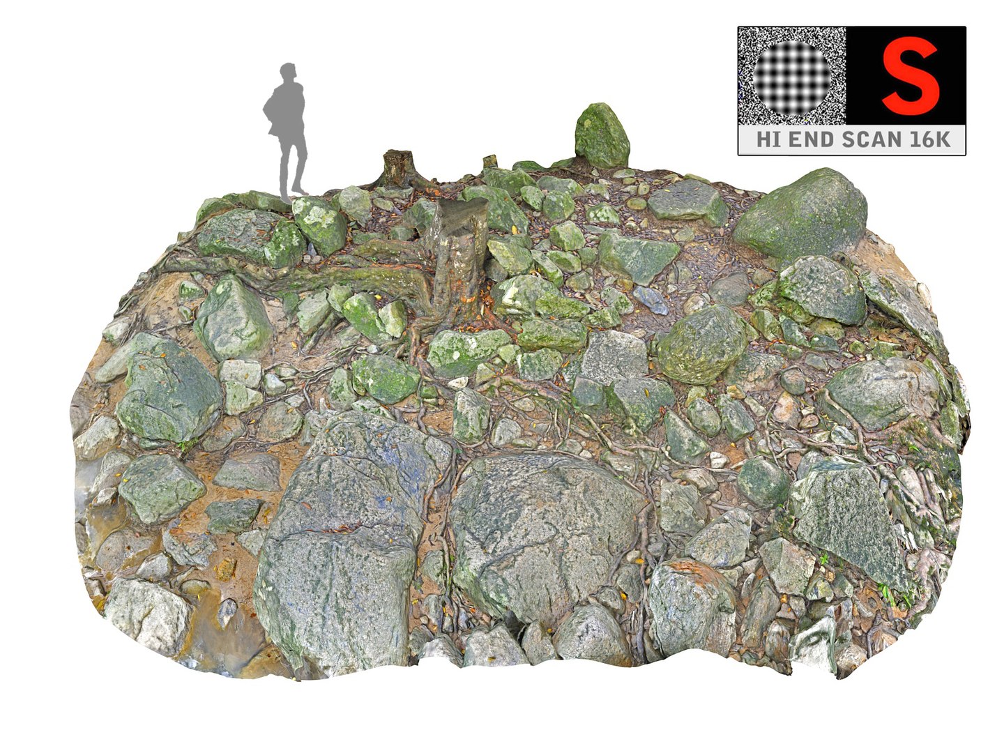 Jungle Rock Ground 16k 3D Model - TurboSquid 1276325