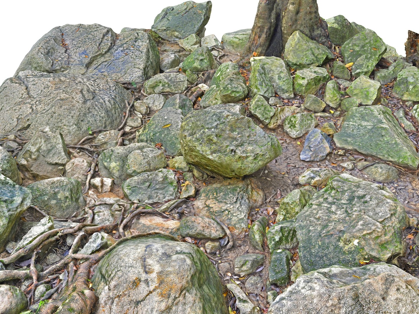 Jungle Rock Ground 16k 3D Model - TurboSquid 1276325