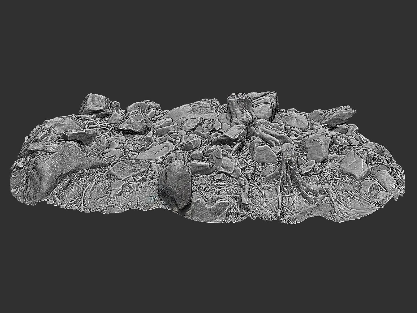 Jungle Rock Ground 16k 3D Model - TurboSquid 1276325