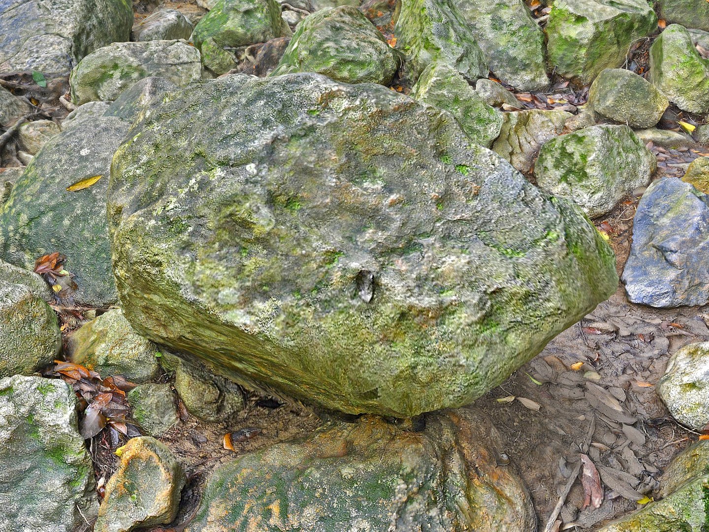 Jungle Rock Ground 16k 3D Model - TurboSquid 1276325