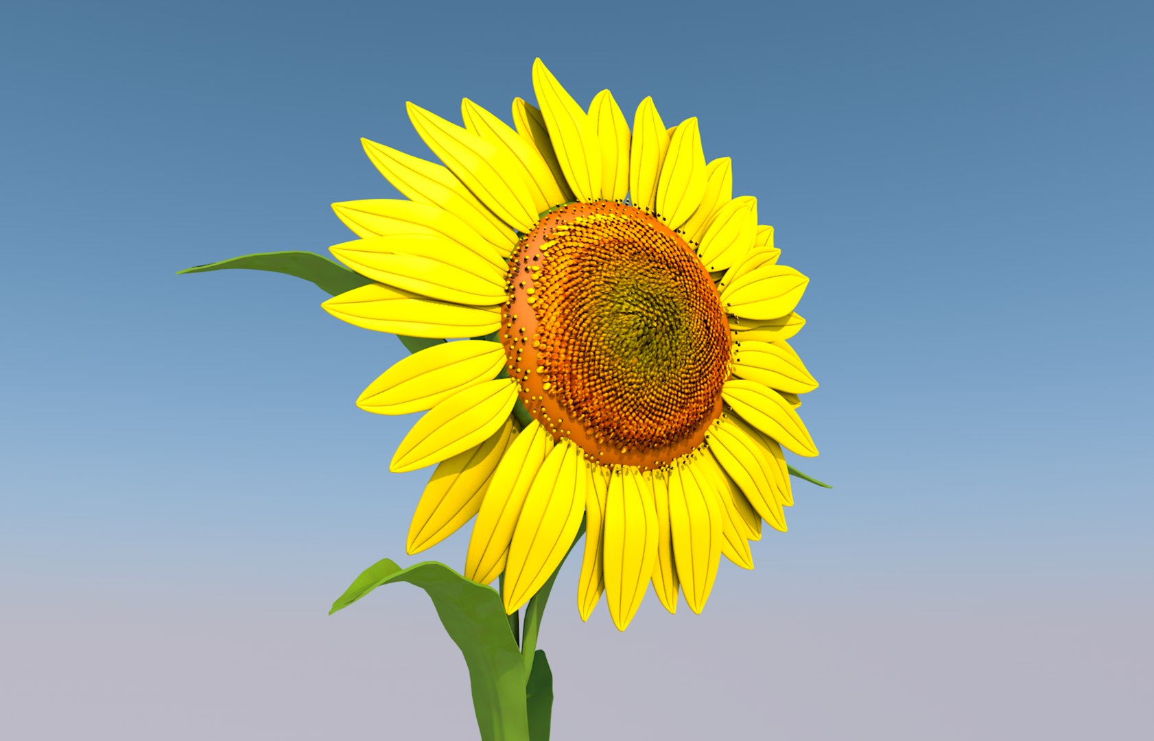 3D Model Sunflower Flower Sun - TurboSquid 1328093
