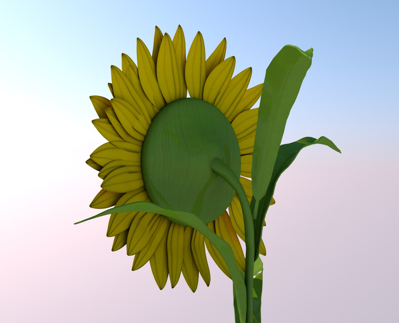 3D Model Sunflower Flower Sun - TurboSquid 1328093