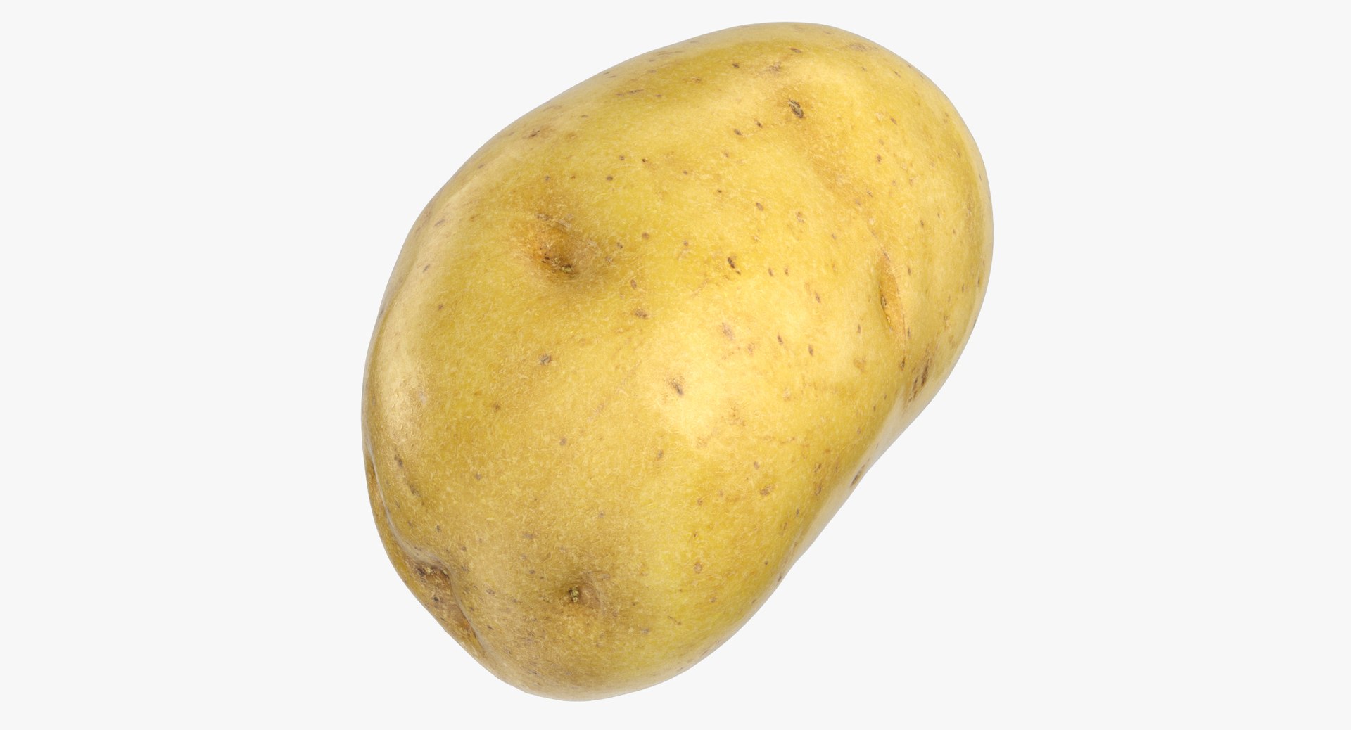 3D Potato Clean 01 - TurboSquid 1390864