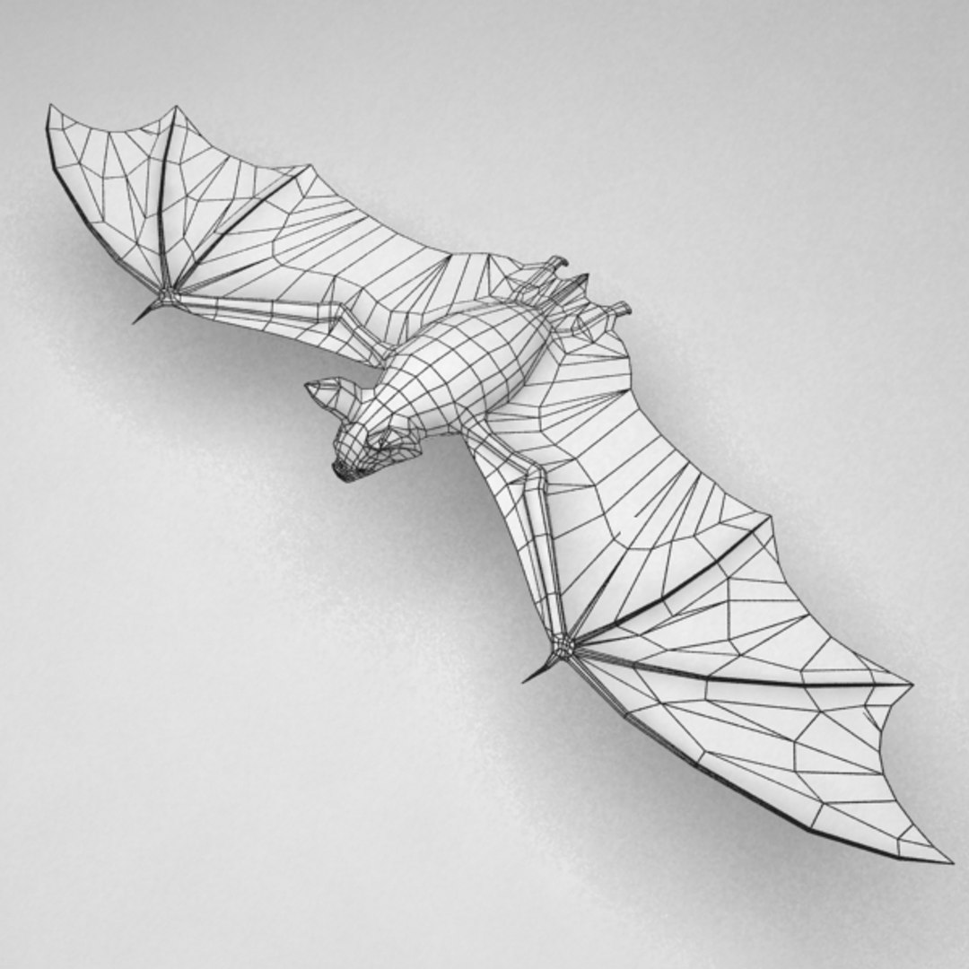 3d Model Of Rigged Vampire Bat Fly Animation