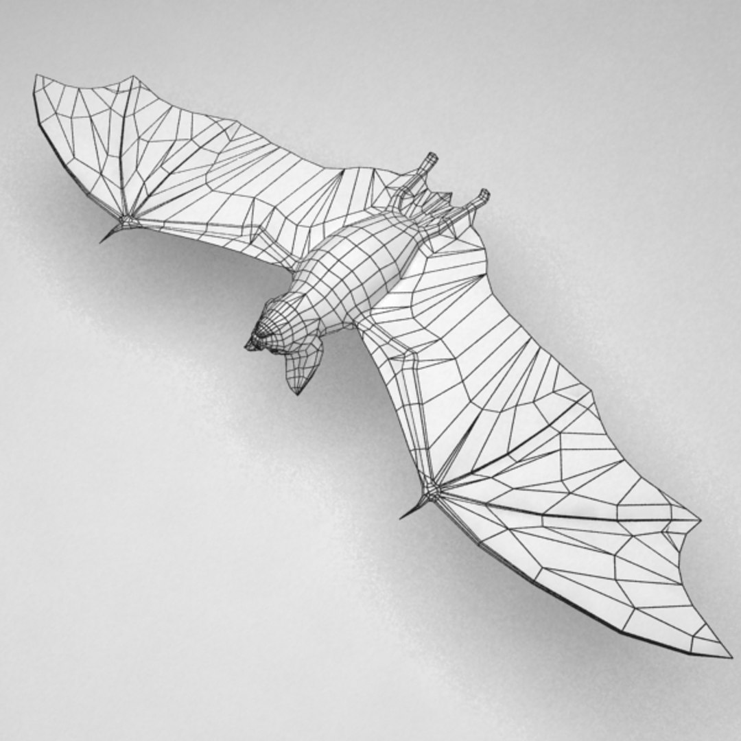 3d Model Of Rigged Vampire Bat Fly Animation