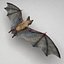3d Model Of Rigged Vampire Bat Fly Animation