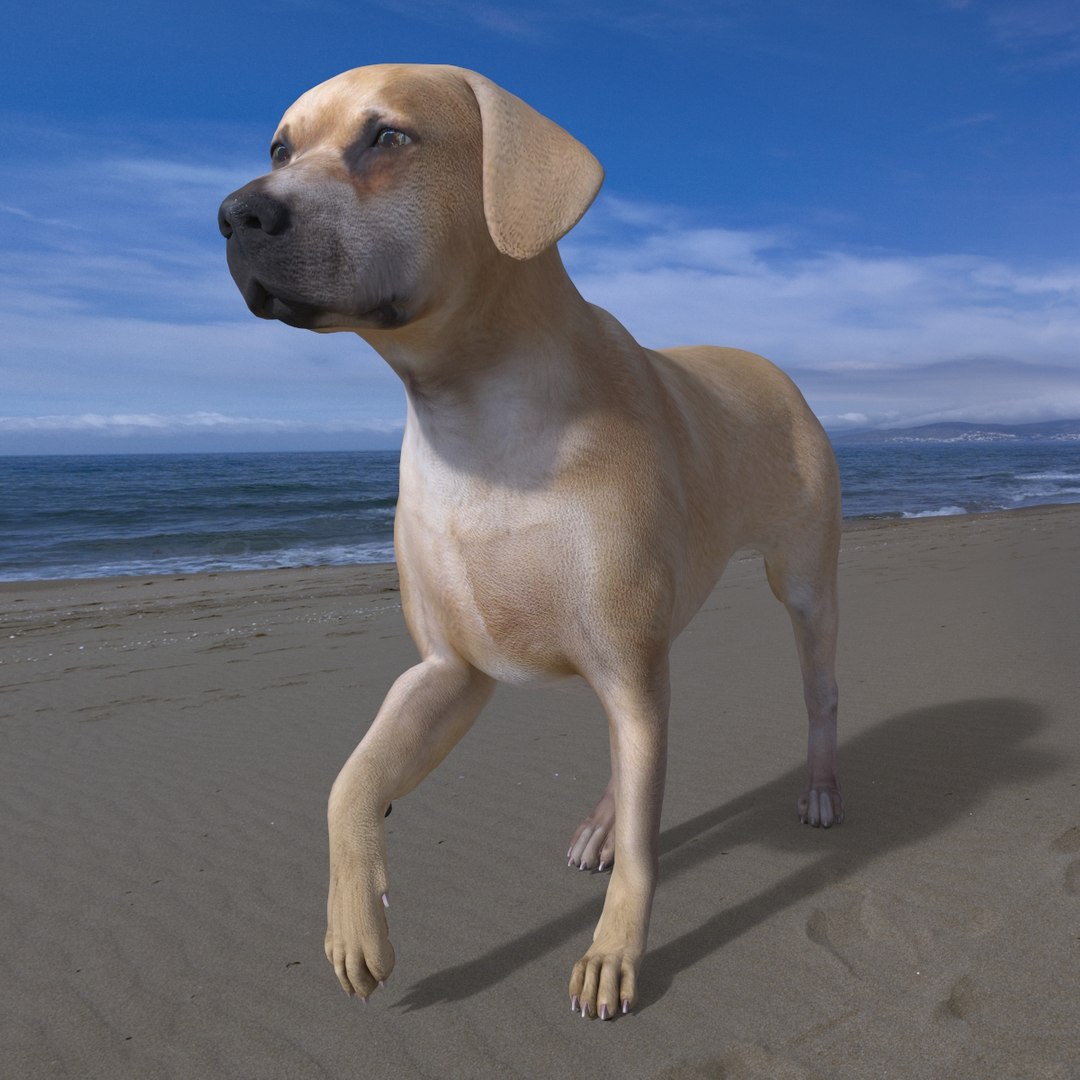 3D LAB-004 Dog Walking - TurboSquid 1913862