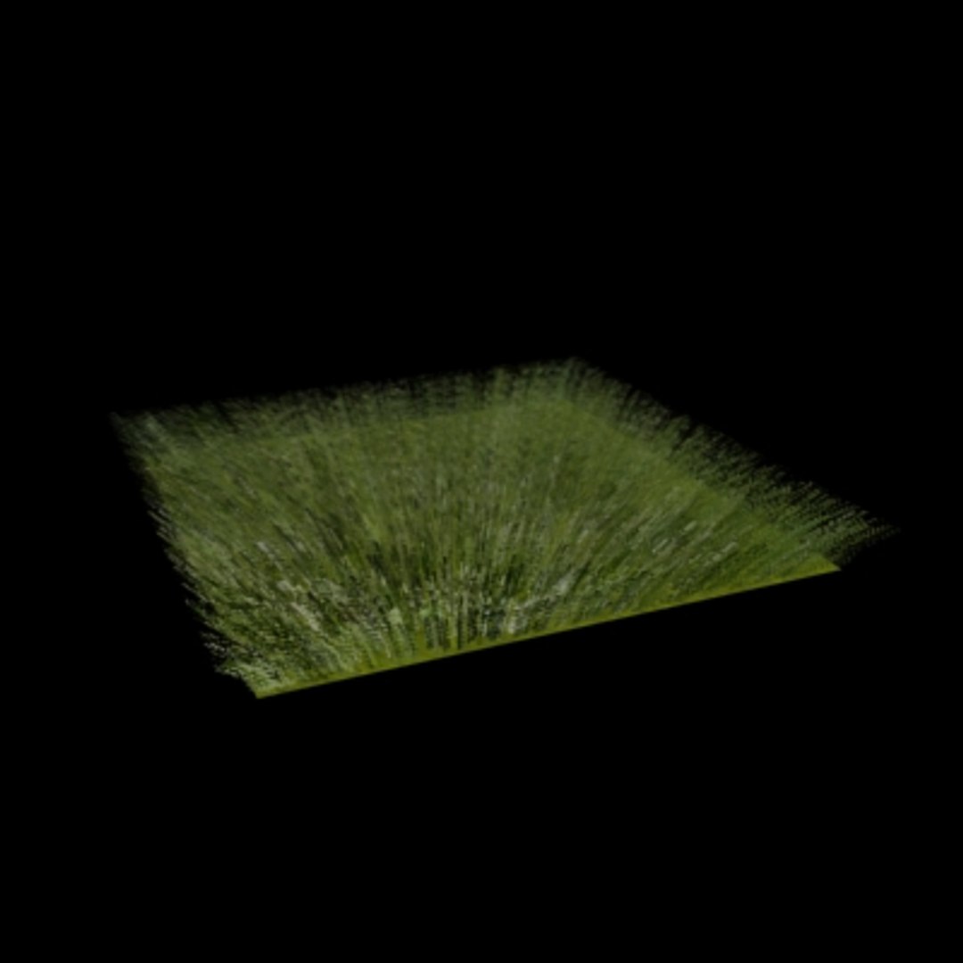 Free Grass 3d Model