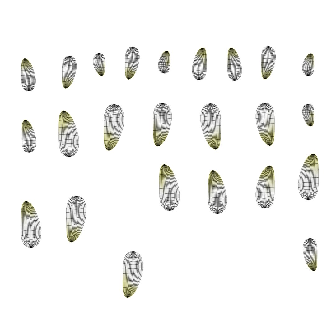 Llanocetus 3D Model - TurboSquid 2344196