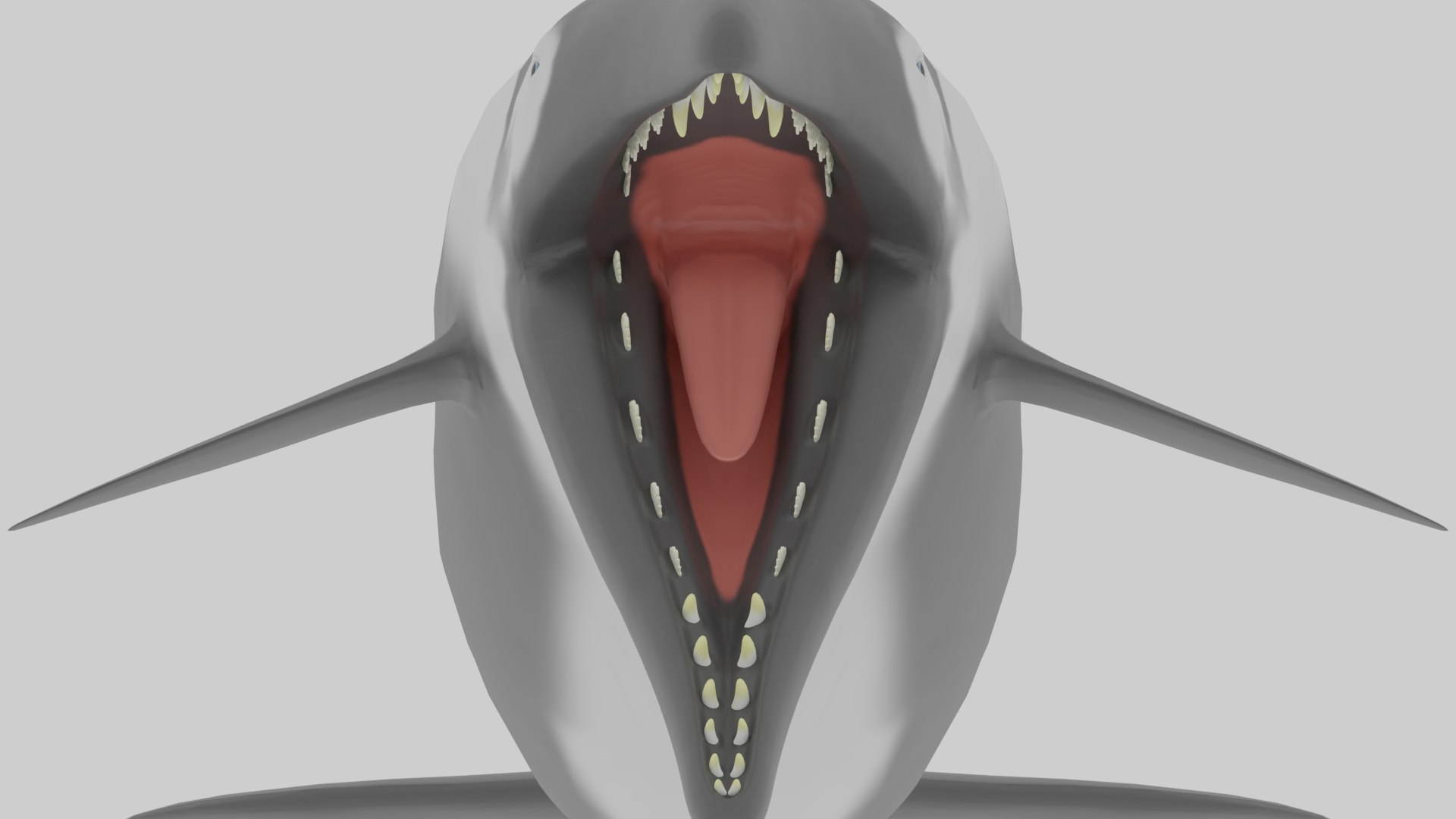 Llanocetus 3D Model - TurboSquid 2344196