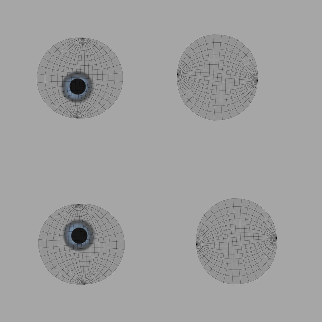 Llanocetus 3D Model - TurboSquid 2344196