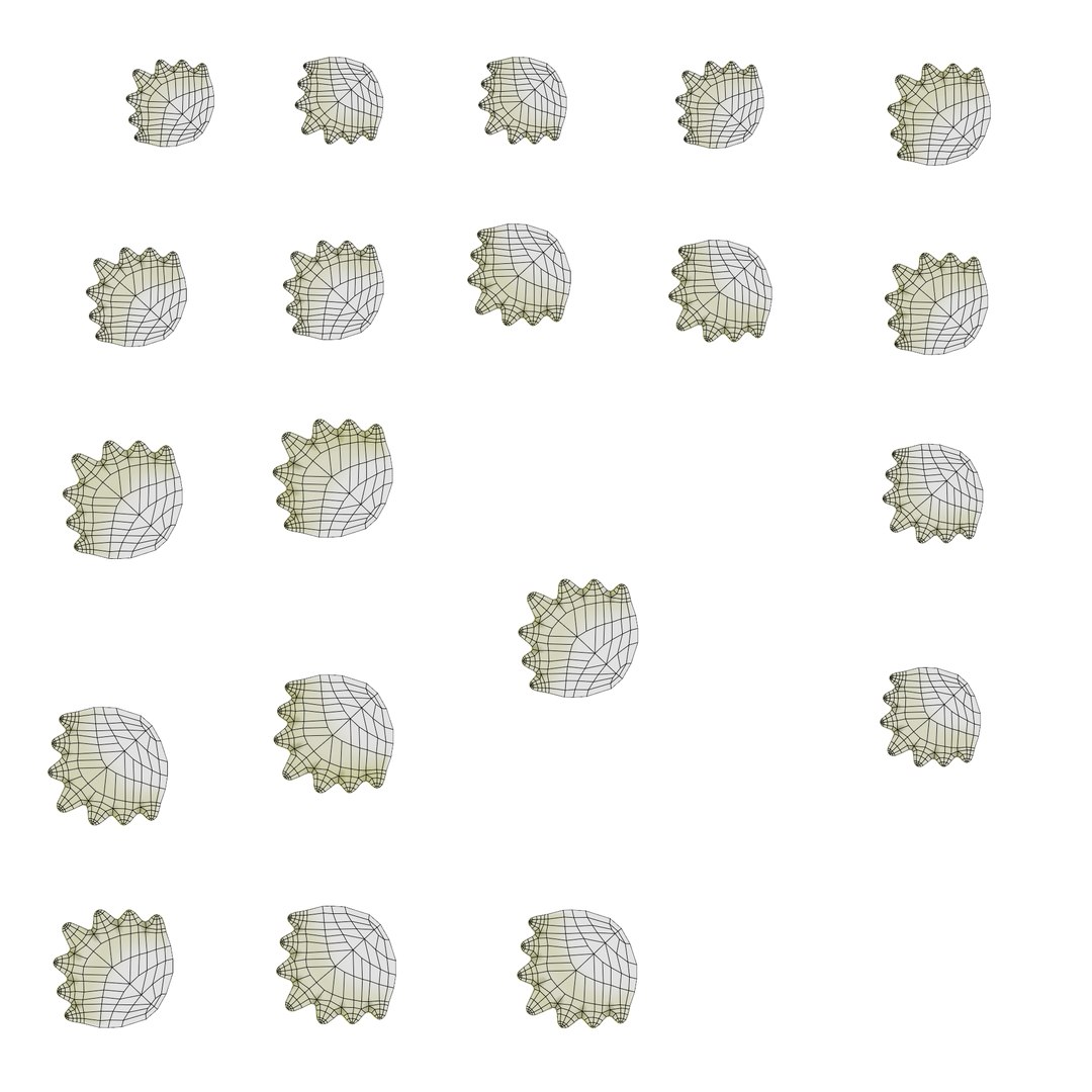 Llanocetus 3D Model - TurboSquid 2344196