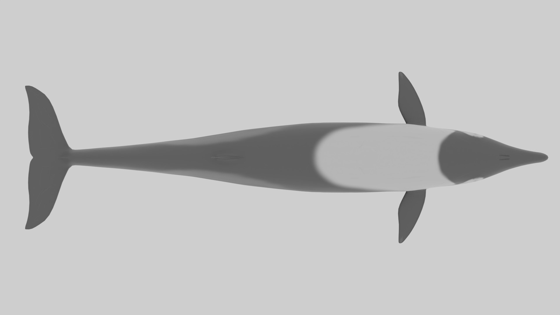 Llanocetus 3D Model - TurboSquid 2344196