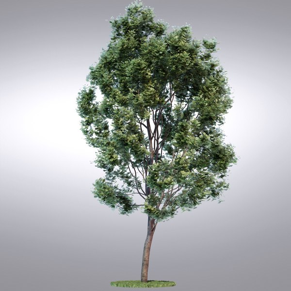 hi realistic series tree max