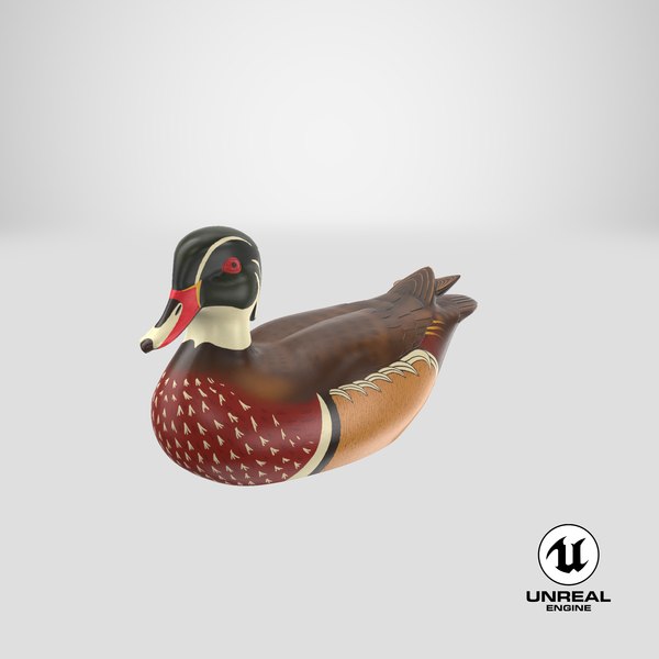 Duck decoy 02 3D model - TurboSquid 1339431
