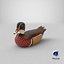Duck Decoy 02 3D Model - TurboSquid 1339431