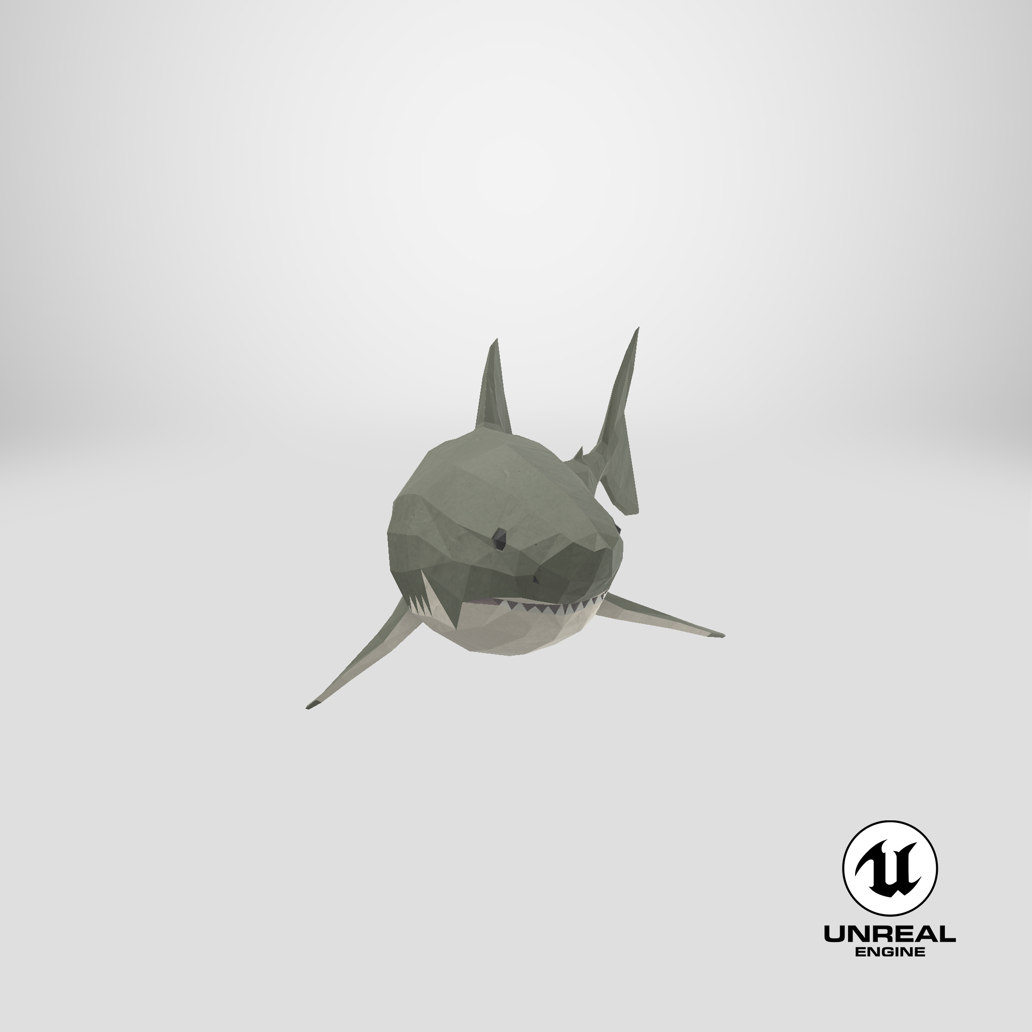 Shark---upward 3D - TurboSquid 1218882