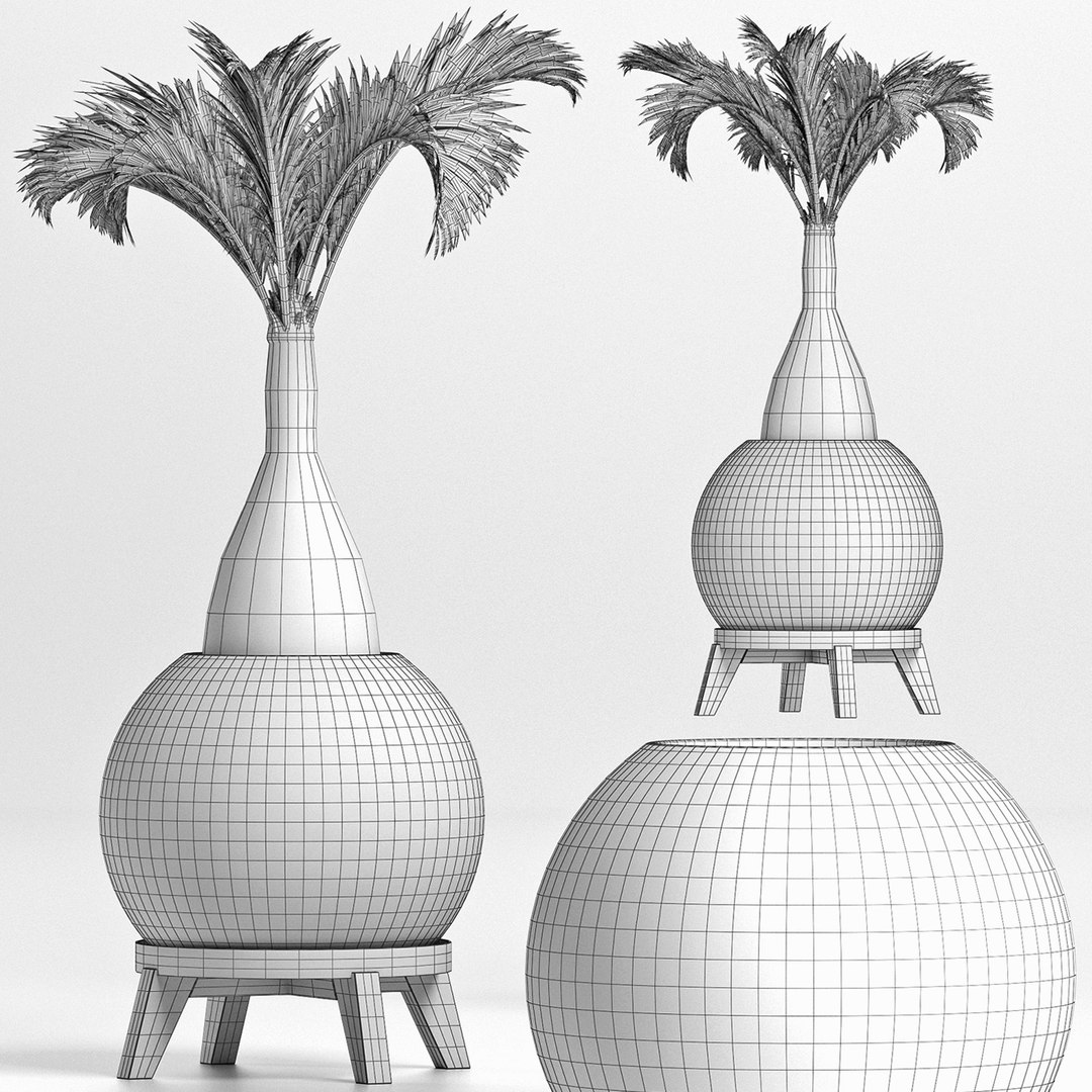 Palm Plants 3D Model - TurboSquid 1685272