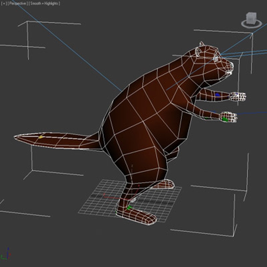 Beaver 3d Model