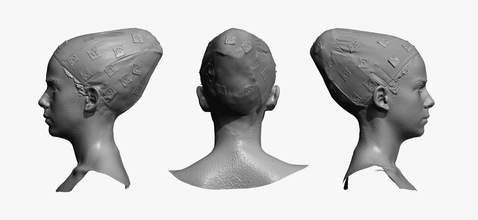 3D rhea human head inner model - TurboSquid 1659045