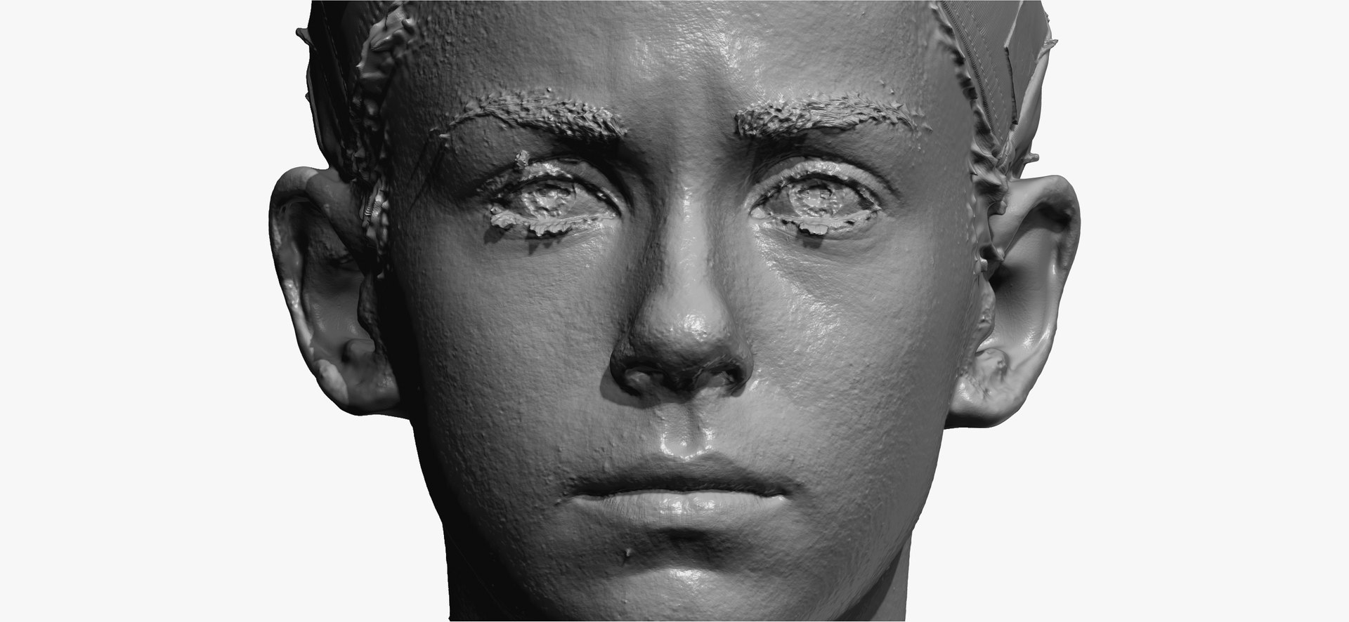 3D rhea human head inner model - TurboSquid 1659045
