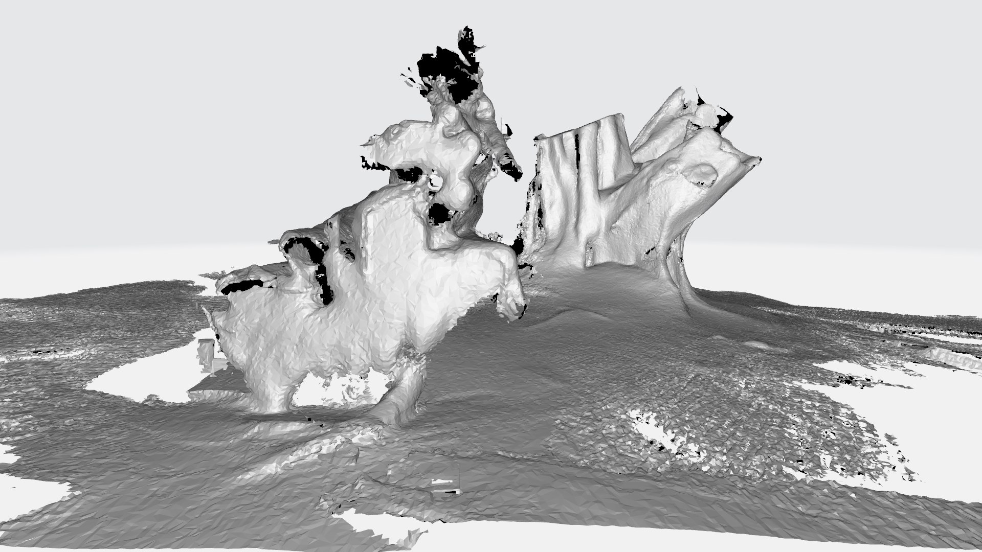 Jaguey Tree 3D Model - TurboSquid 1967933