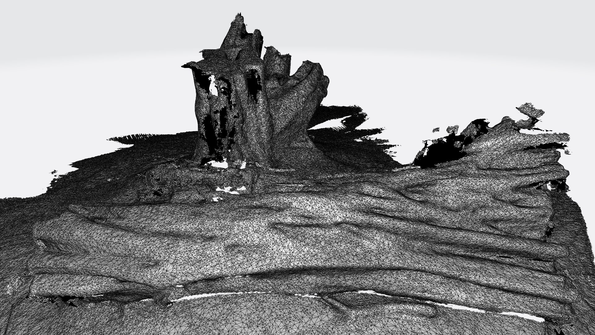 Jaguey Tree 3D Model - TurboSquid 1967933