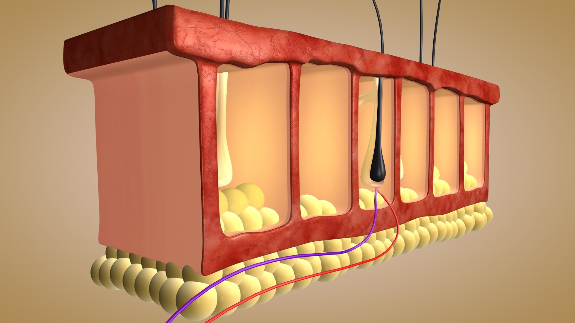 Mesotherapy Skin And Hair 3D Model - TurboSquid 1971886