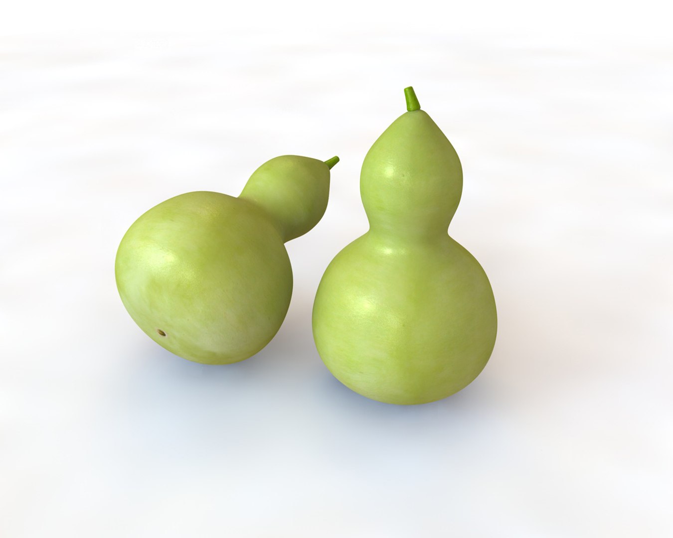 Gourd 3D model - TurboSquid 1544604